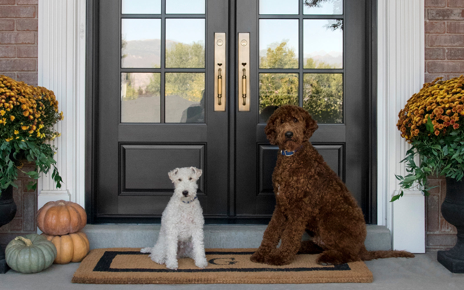 Room for Tuesday's Stately Door Hardware - Grandeur Hardware