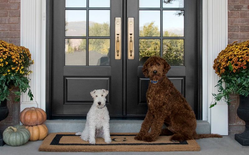 Room for Tuesday's Stately Door Hardware - Grandeur Hardware
